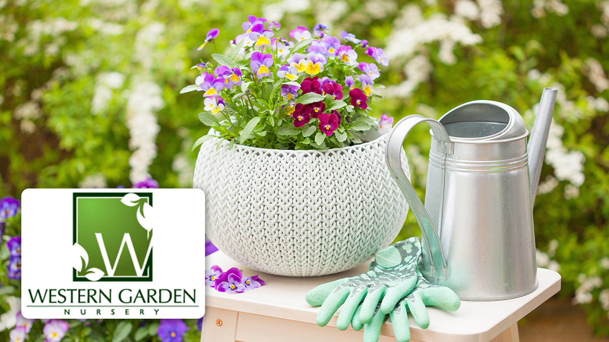 Home - Western Garden Nursery Western Garden Nursery